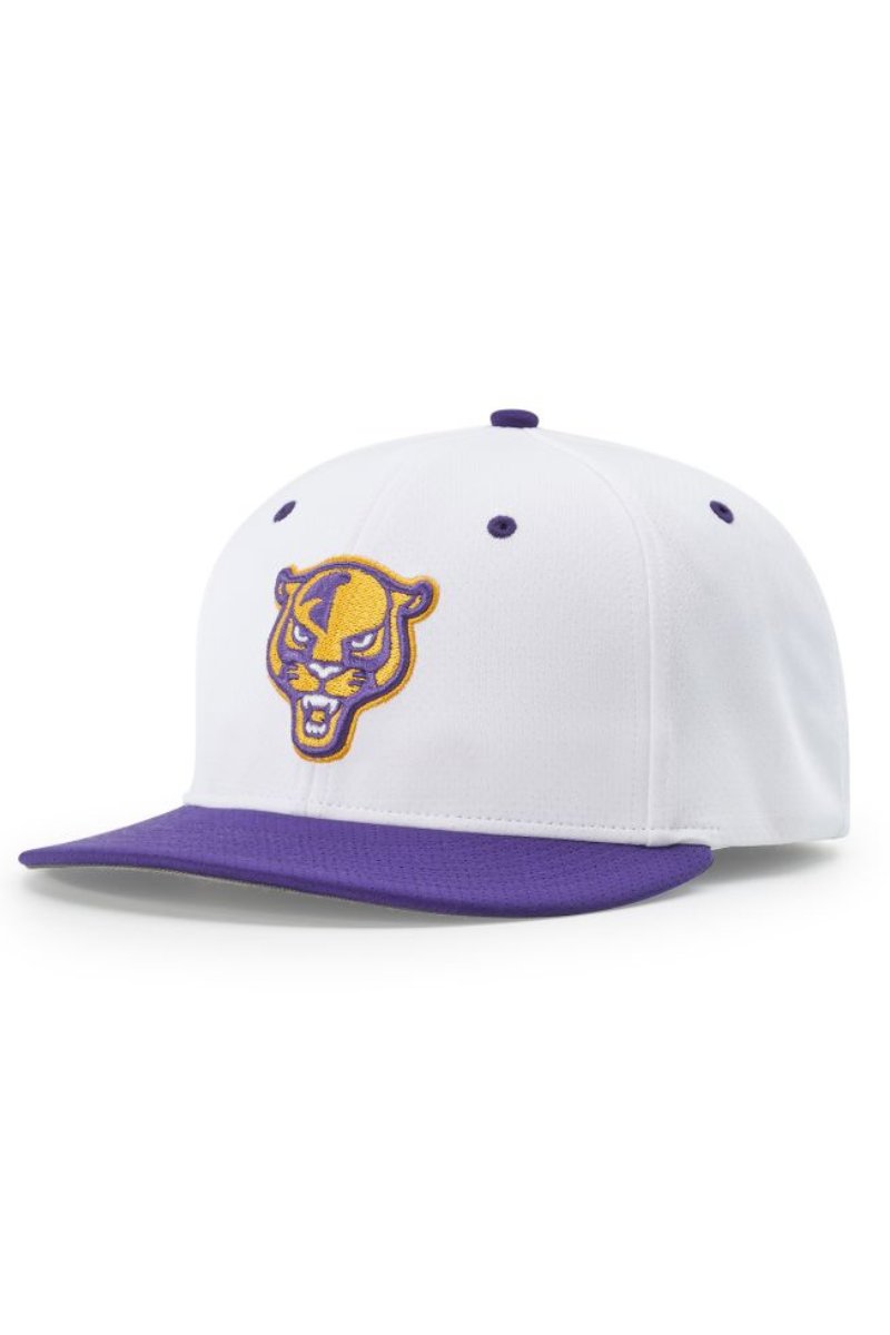Team Hats – Dinger City Baseball
